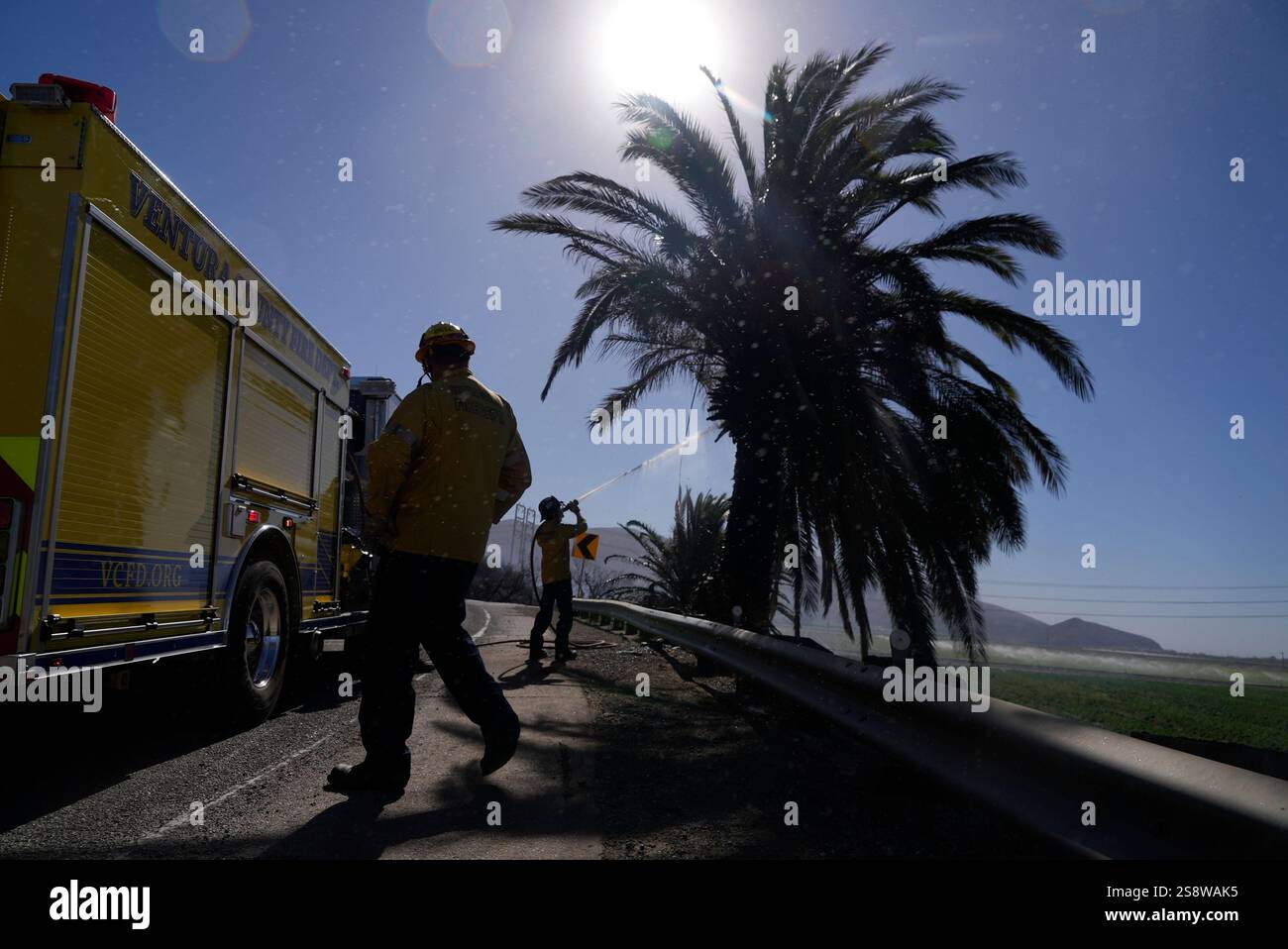 Firefighters put out hot spots Thursday, Jan. 23, 2025 in Camarillo ...