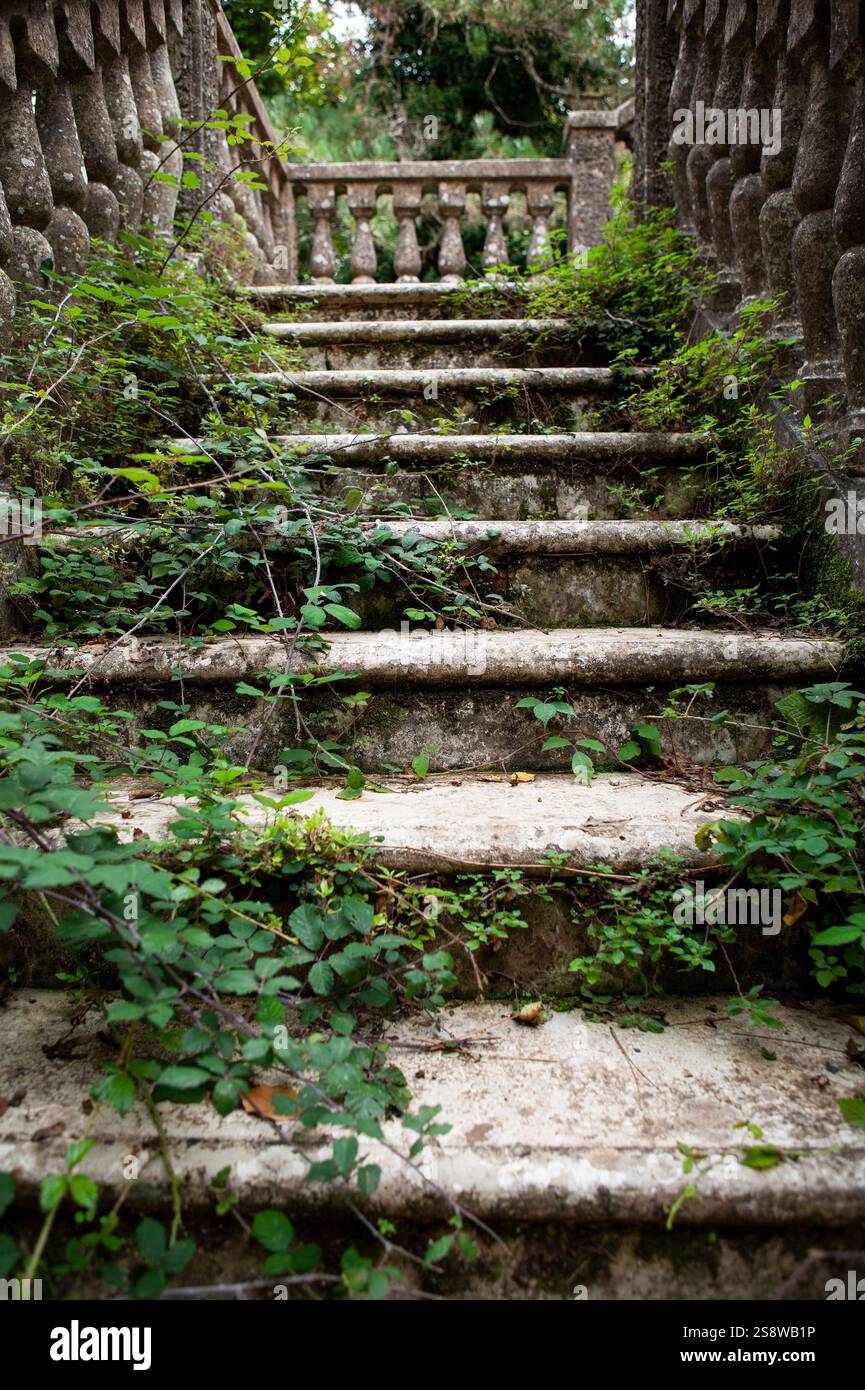 The ivy-covered stairs of an old, abandoned house. Umbra Forest ...