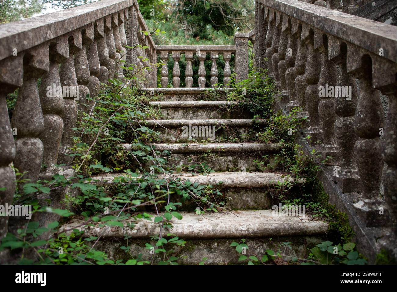 The ivy-covered stairs of an old, abandoned house. Umbra Forest ...