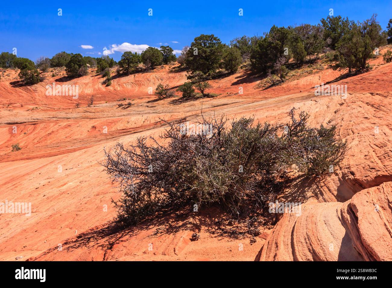 Patterns and textures of the sandstone rock Stock Photo - Alamy