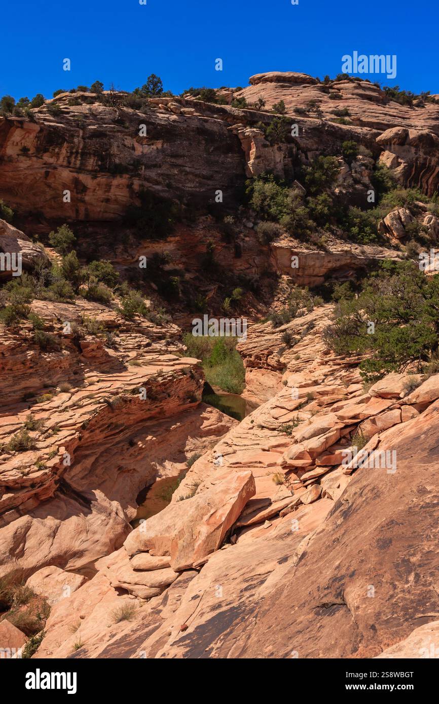 Natural Bridges National Monument is a U.S. National Monument located ...