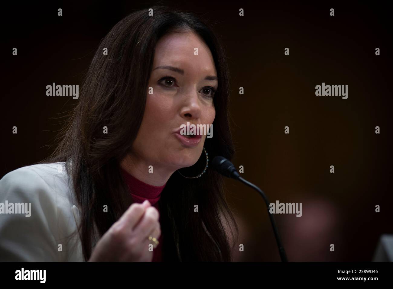Brooke rollins hearing 03 jpg hi-res stock photography and images - Alamy