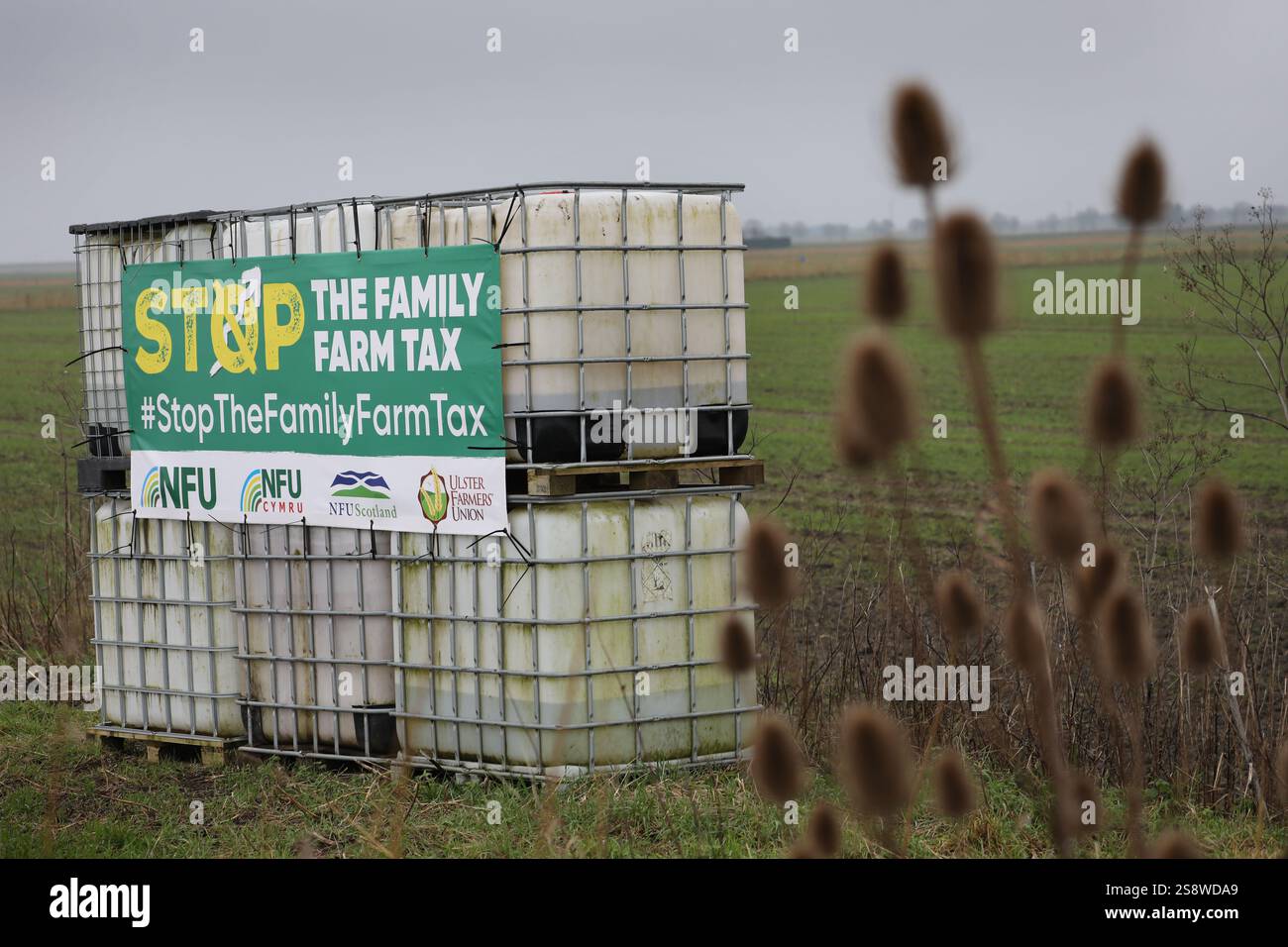 Peterborough, England, UK. 23rd Jan, 2025. A farmer displays a large ...