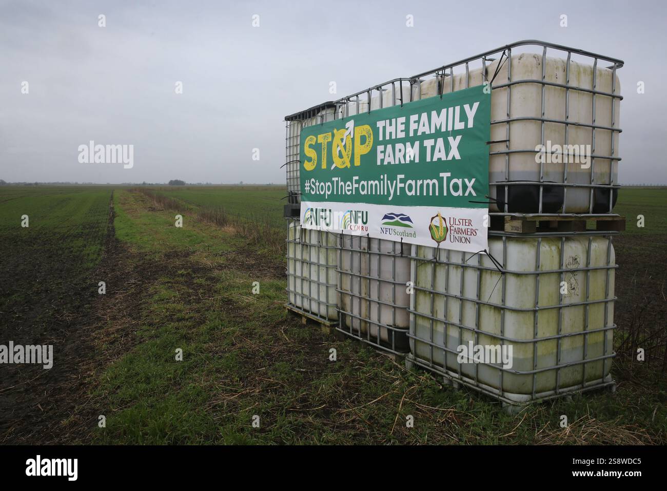 Peterborough, England, UK. 23rd Jan, 2025. A farmer displays a large ...