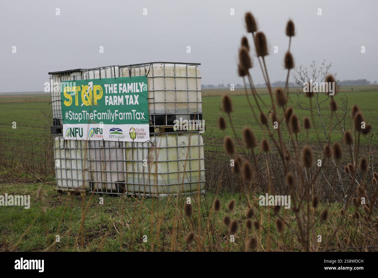Peterborough, England, UK. 23rd Jan, 2025. A farmer displays a large ...