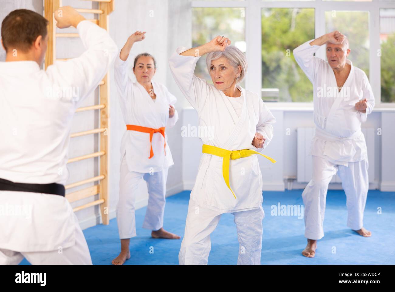 Old woman attendee of karate classes practicing kata standing in row ...