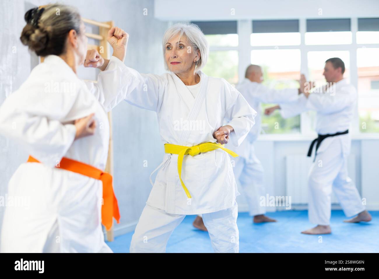 Old woman attendee of karate classes fighting with her opponent in ...