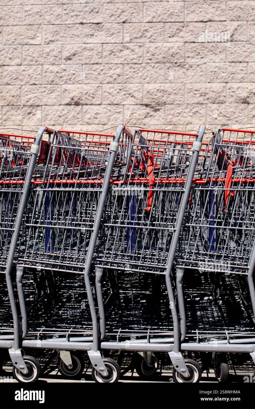 Rows of metal shopping carts with red handles parked along a wall ...