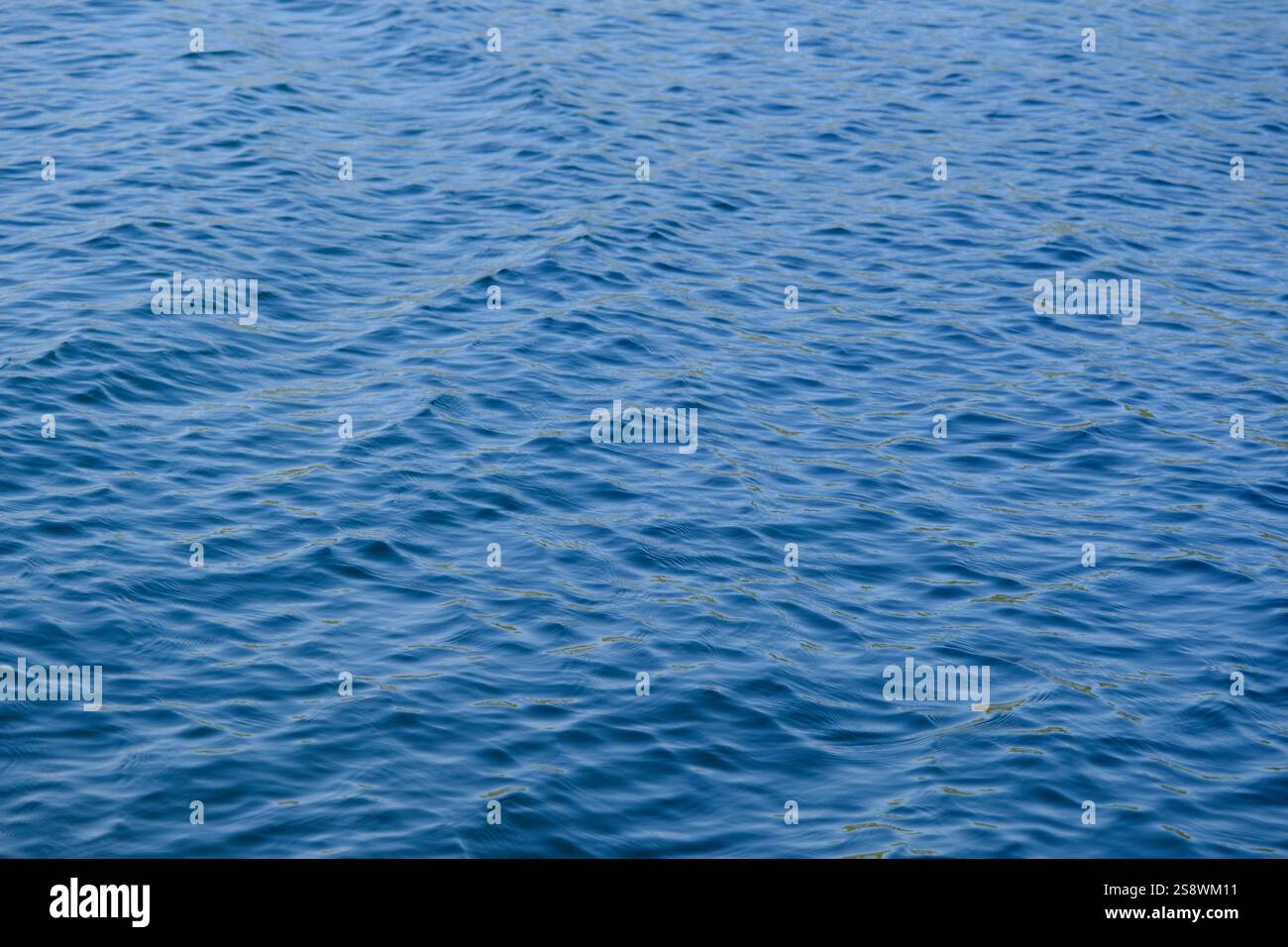 River Zezere Fishing Central Portugal Stock Photo - Alamy