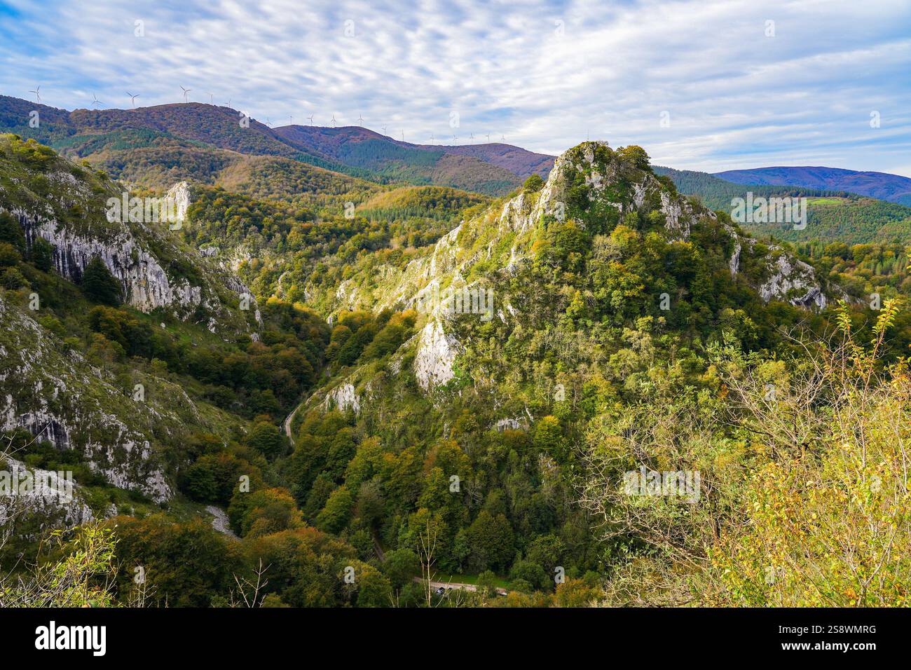 Forest-covered mountains of the Massif Aloña surrounding the Sanctuary ...