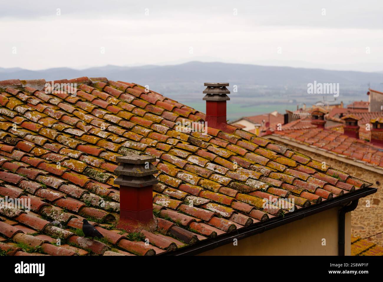 Weathered rooftop with chimneys and distant hills Stock Photo - Alamy