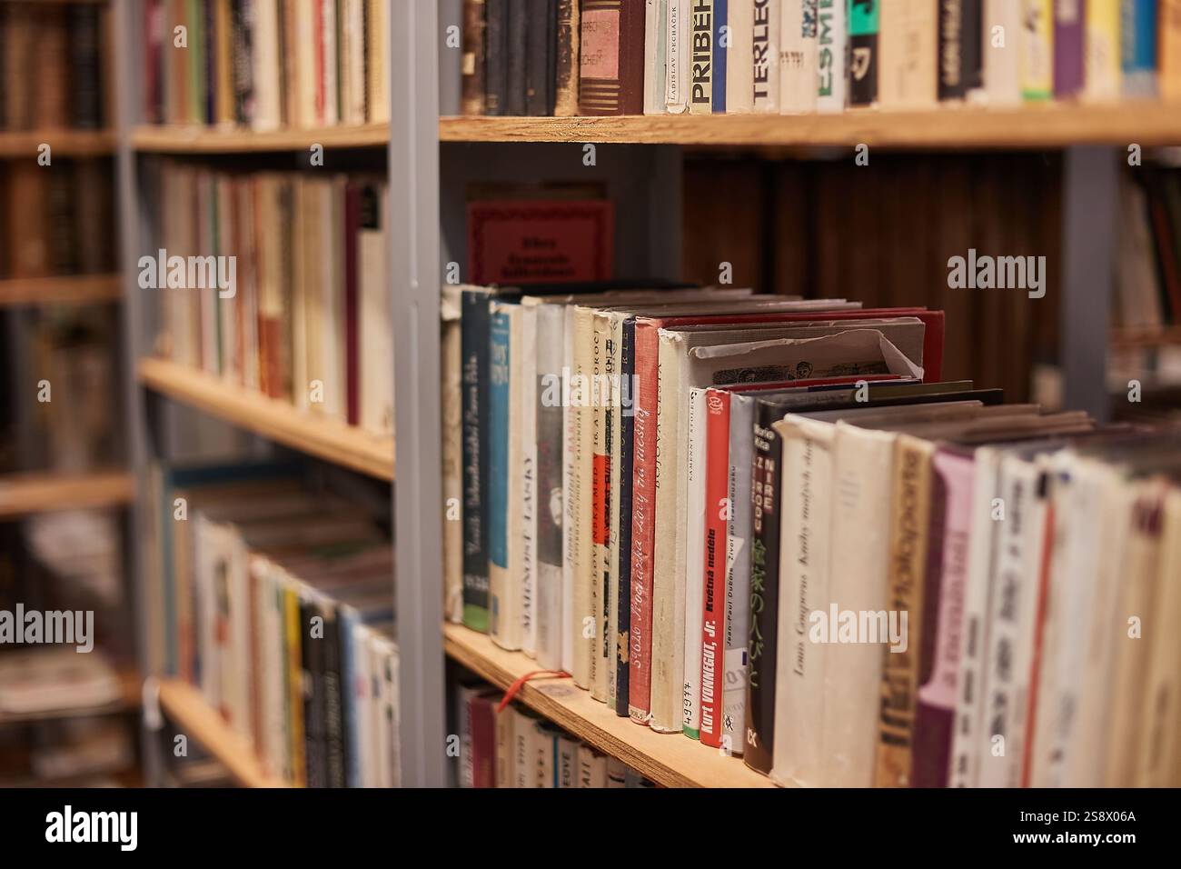 Library book shelves Stock Photo - Alamy
