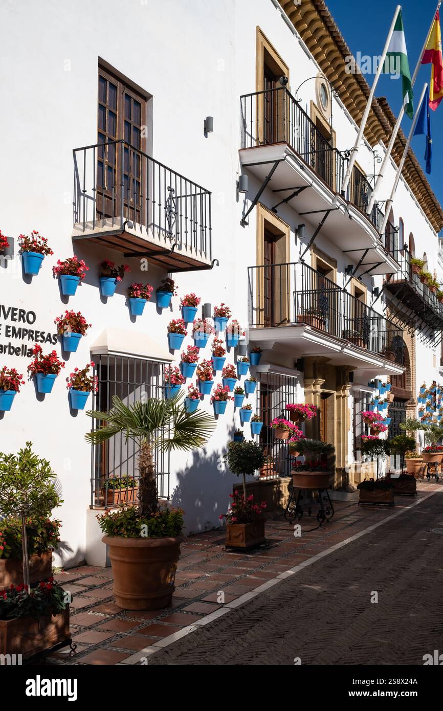 Town hall and plant pots in Marbella, Spain: Plaza de los Najangos ...