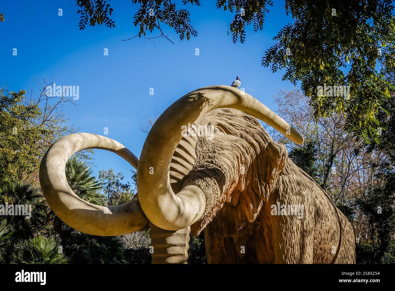 The mamut display in Parc de la Ciutadella features a life-sized ...