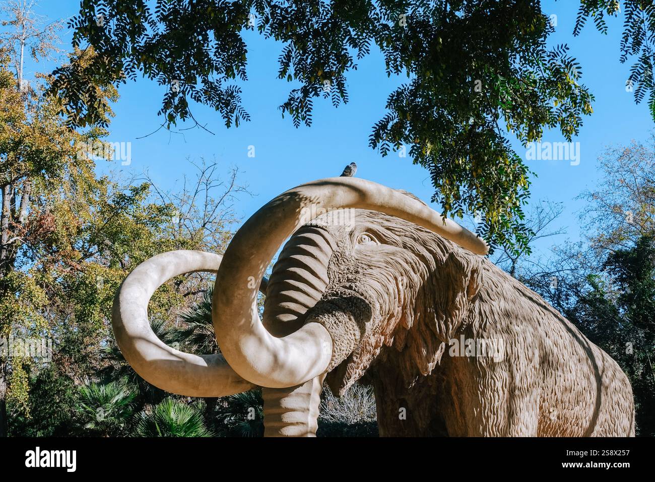 The mamut display in Parc de la Ciutadella features a life-sized ...