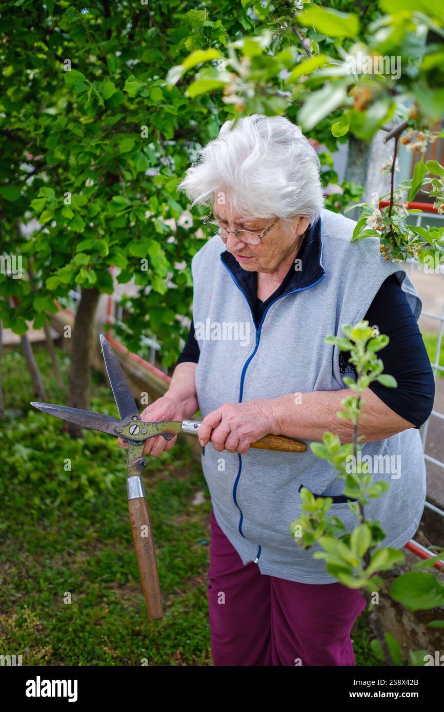 Elderly woman working with big scissors in garden Stock Photo - Alamy