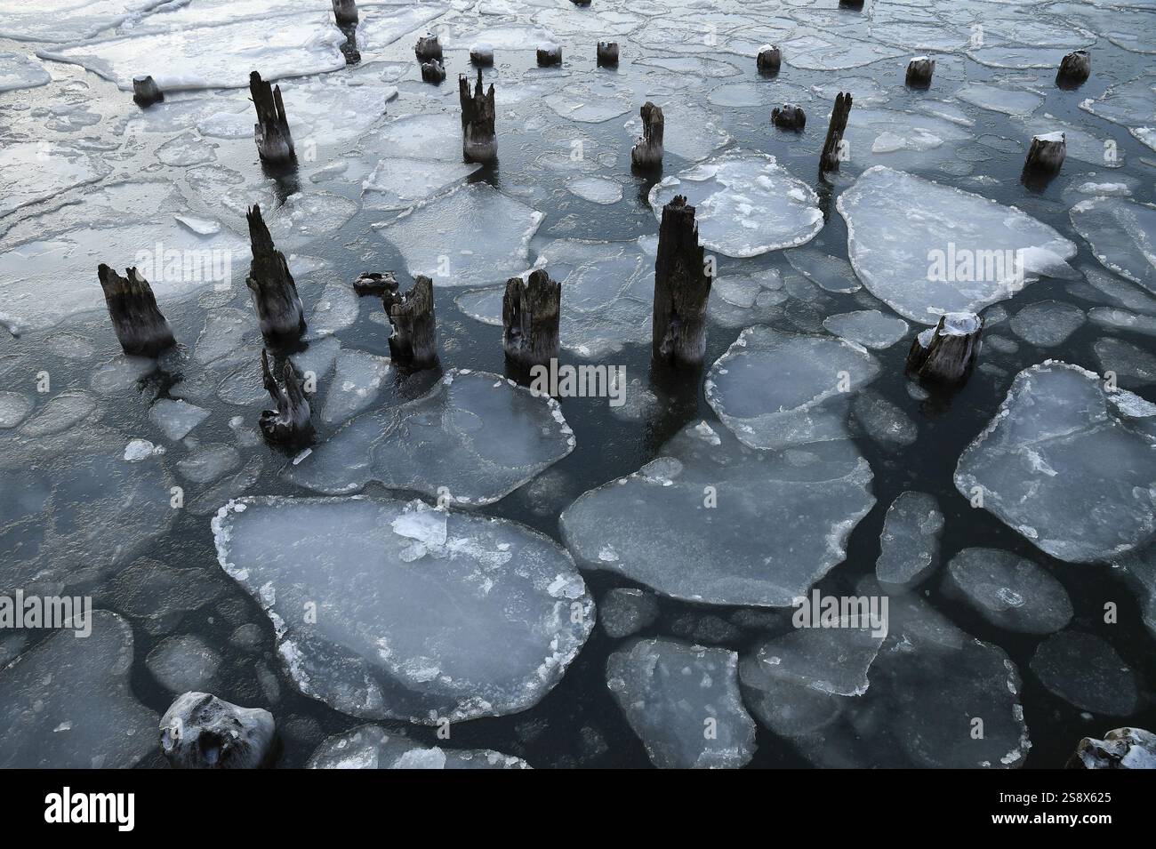 New York, USA. 23rd Jan, 2025. Old wood pylons stick out between chunks ...