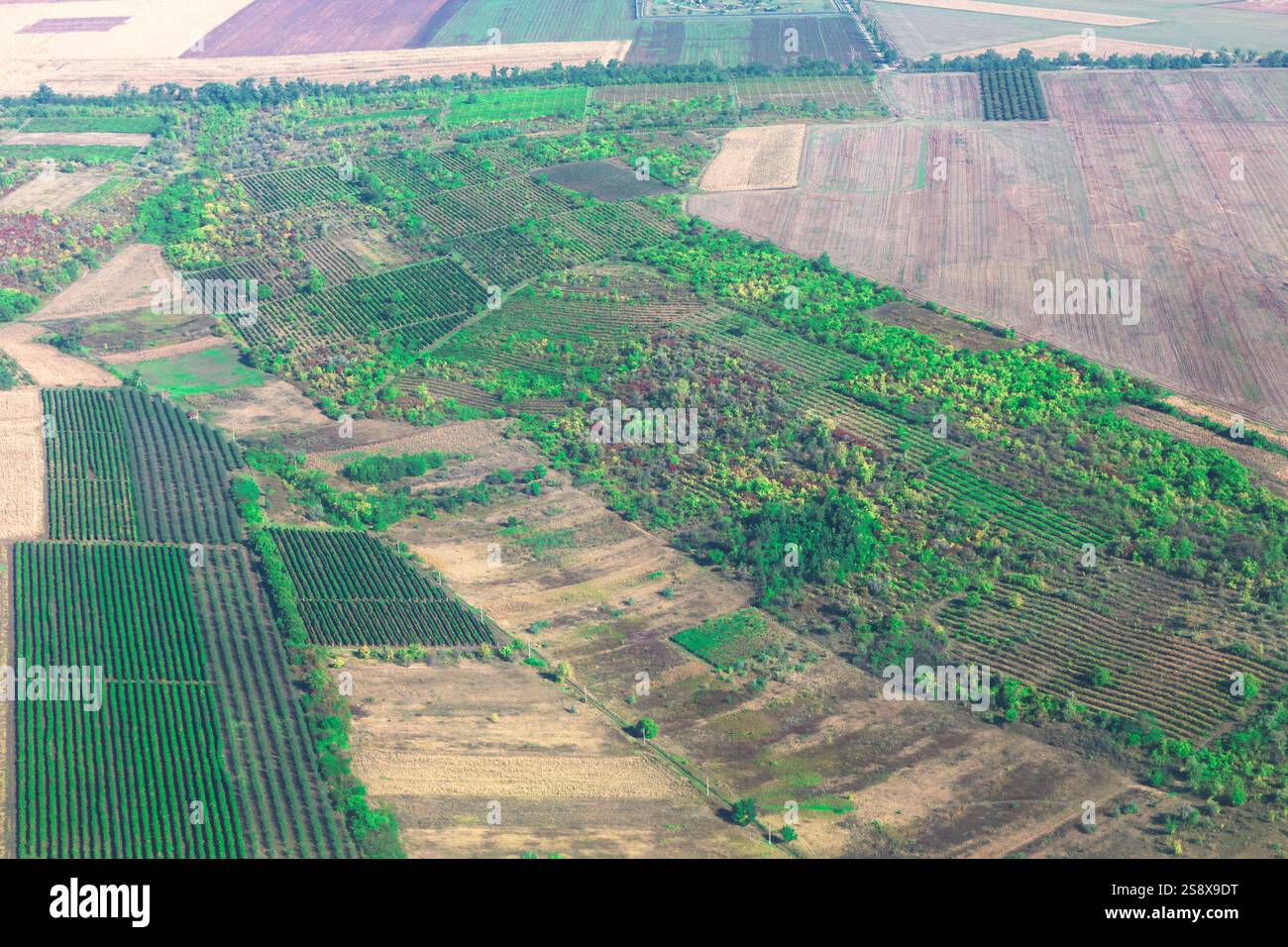Patchwork of agricultural fields and forested areas view from above ...