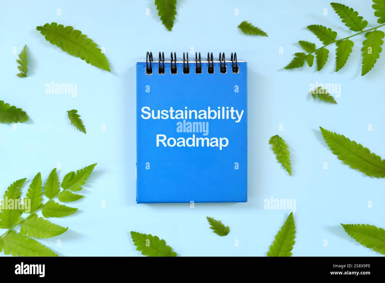 Sustainability plan, goal and roadmap of a business organization ...