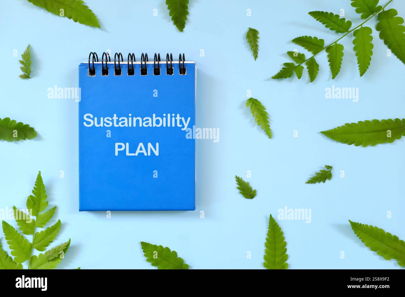 Sustainability plan, goal and roadmap of a business organization ...