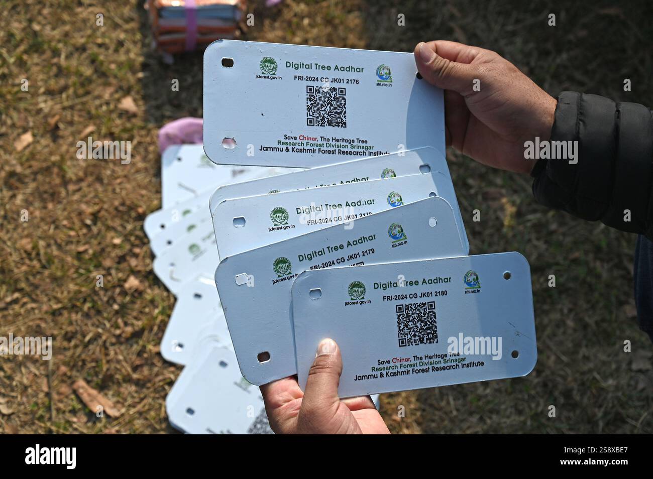 Srinagar, India. 23rd Jan, 2025. SRINAGAR, INDIA - JANUARY 23: A worker ...