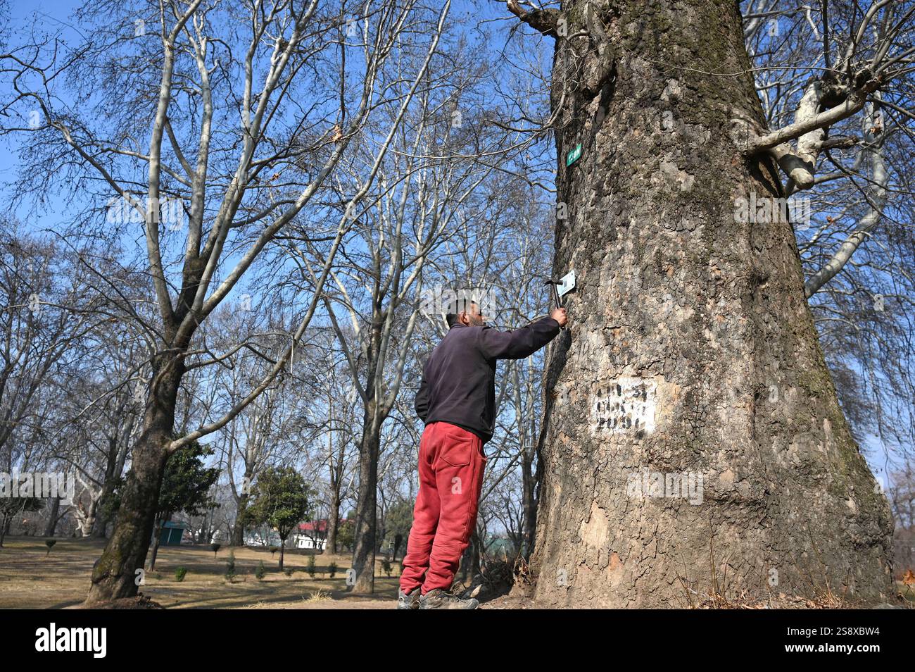 SRINAGAR, INDIA - JANUARY 23: A worker installs a QR code-based GIS ...