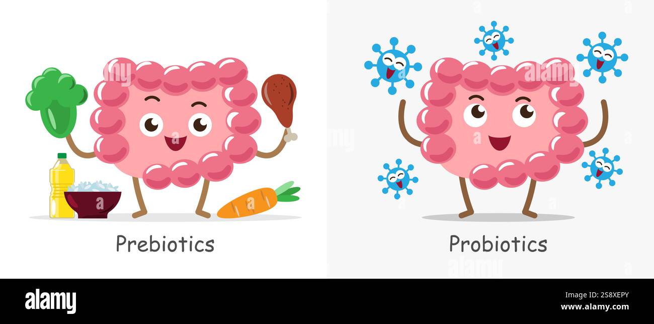 Prebiotics and Probiotics , Intestine cartoon character . Vector Stock ...