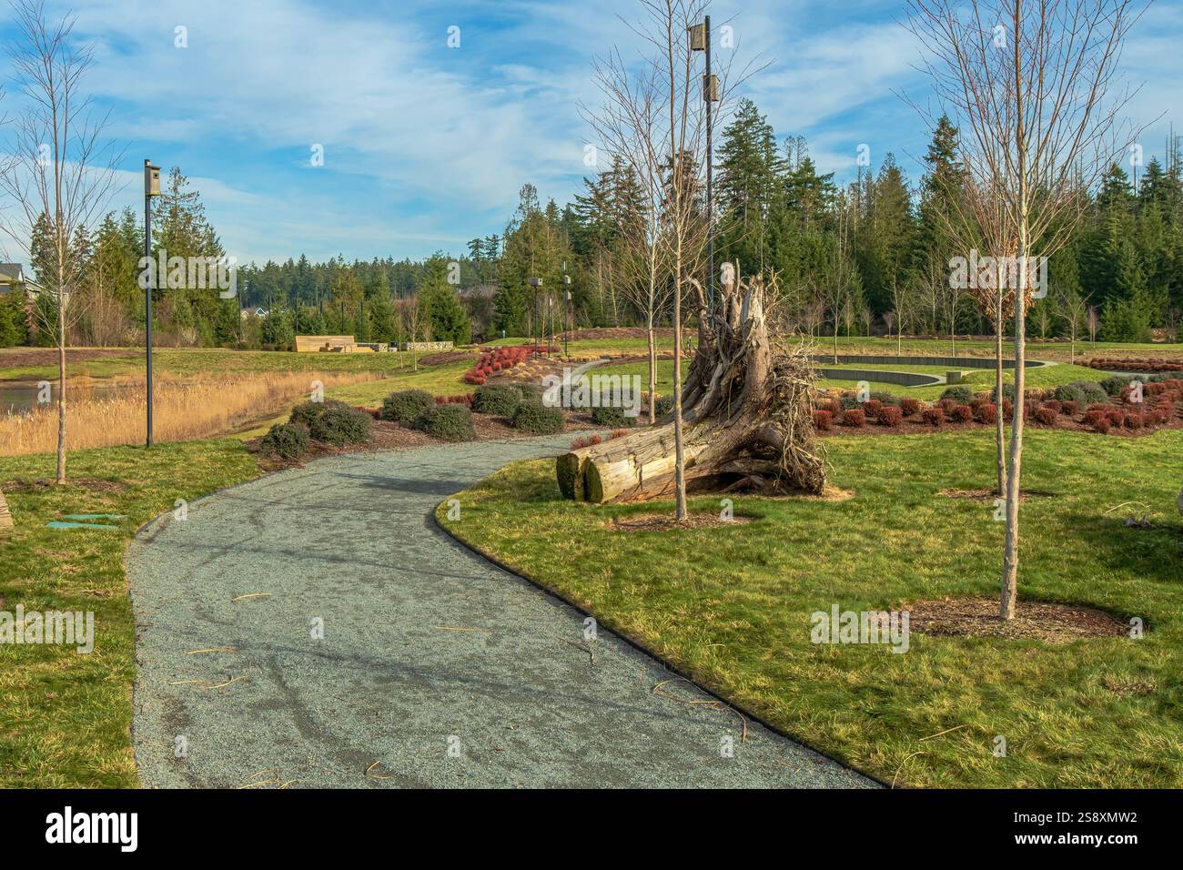 Park and recreation landscape in Tehaleh Washington state Stock Photo ...
