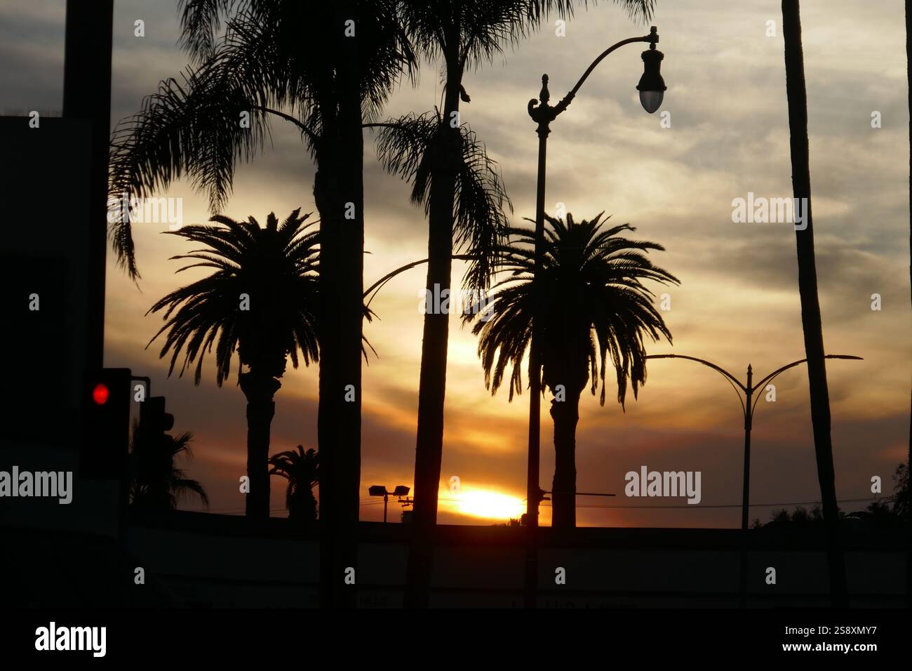 Los Angeles, California USA 22nd January 2025 Smokey Skies and Palm ...