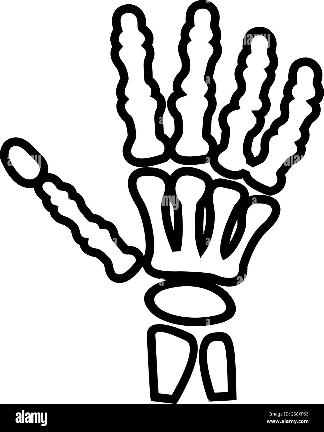 hand skeleton,anatomy,osteology,appendage,bony structure,skeletal ...