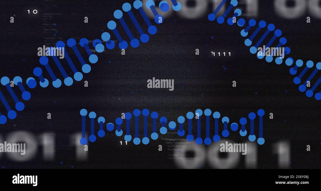 DNA strands and binary code, scientific data processing image Stock Photo - Alamy