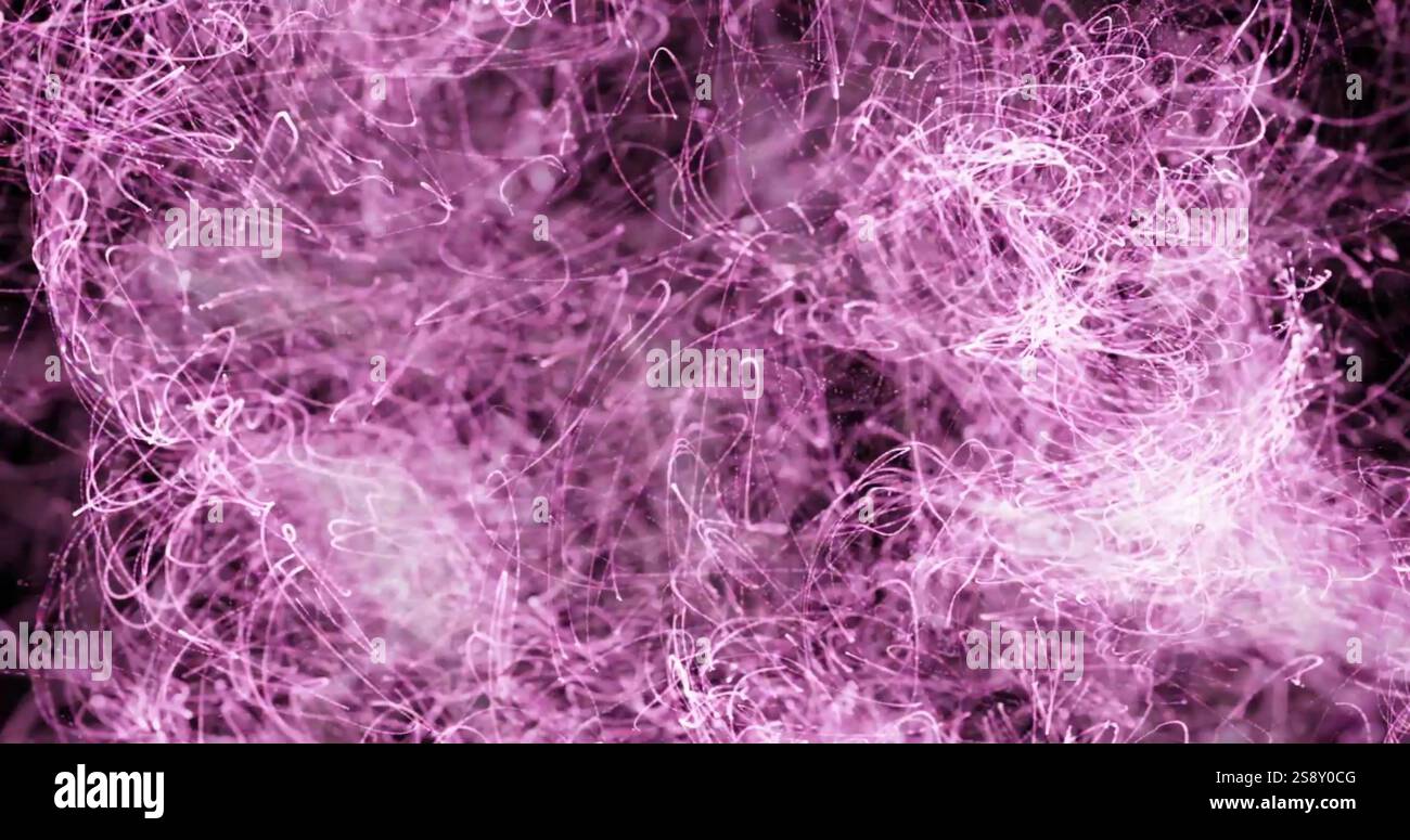 Image of pink light trails on black background Stock Photo - Alamy