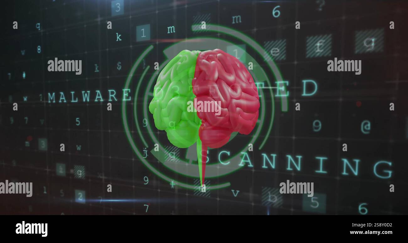 Image of scope, human brain and data processing Stock Photo - Alamy