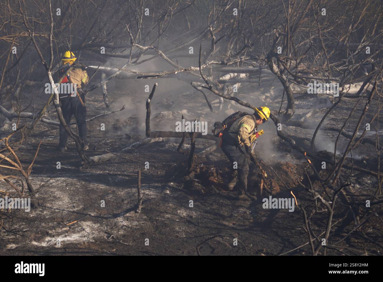 Firefighters battle with the fire at the fire scene. The Gilman Fire ...