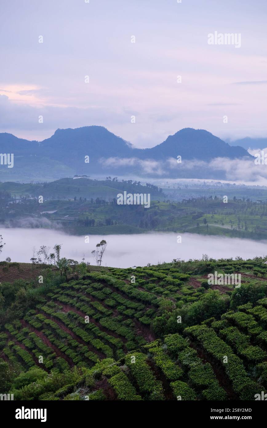 Beautiful landscape view of Pangalengan, Bandung Regency, Indonesia ...
