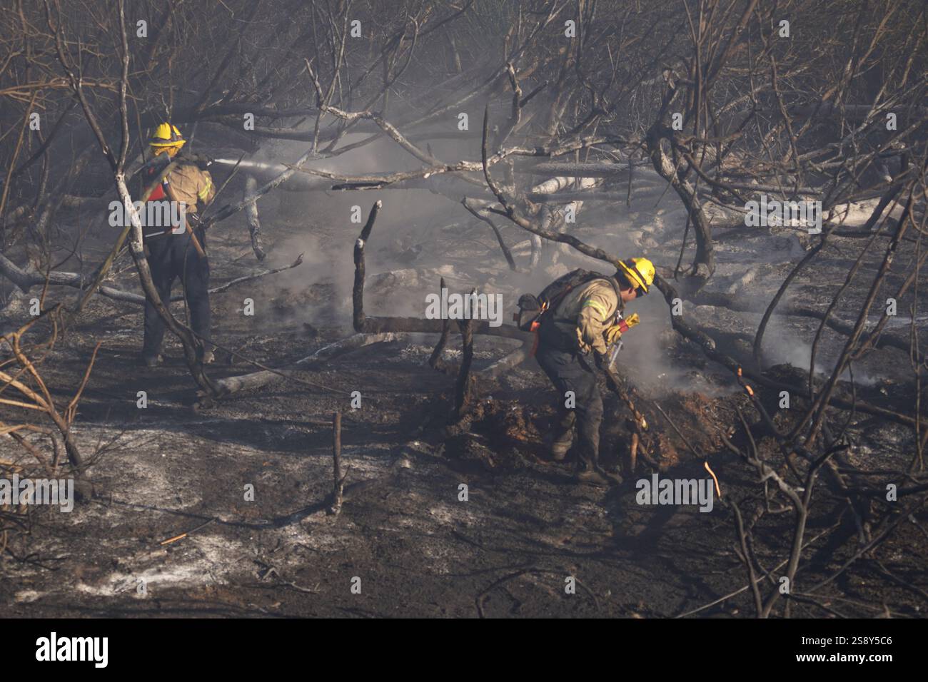 Firefighters battle with the fire at the fire scene. The Gilman Fire ...