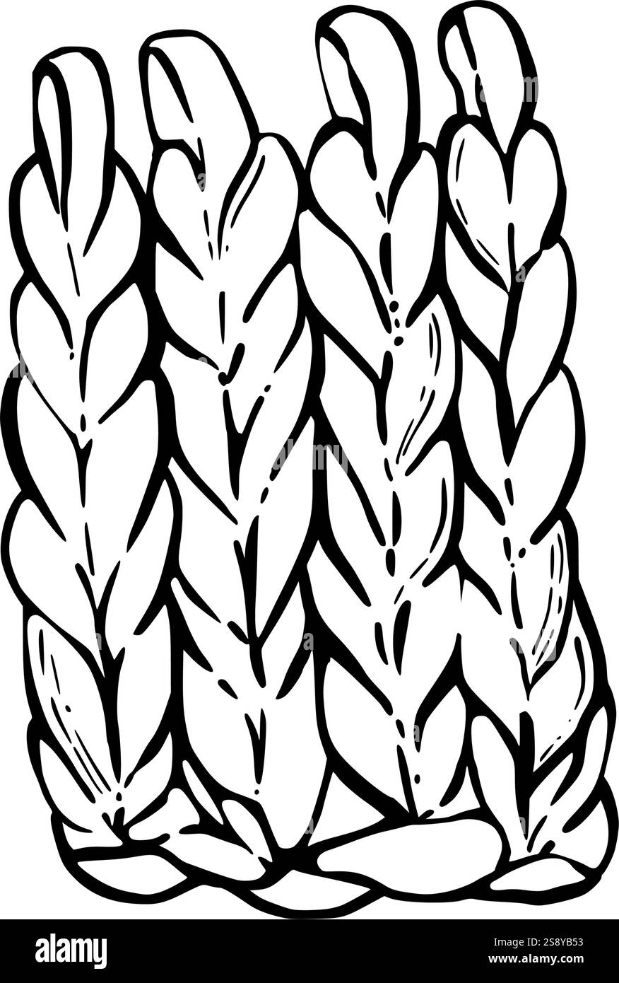 Knitted or crocheted hobby items. Hand knit element.Vector Hand drawing ...
