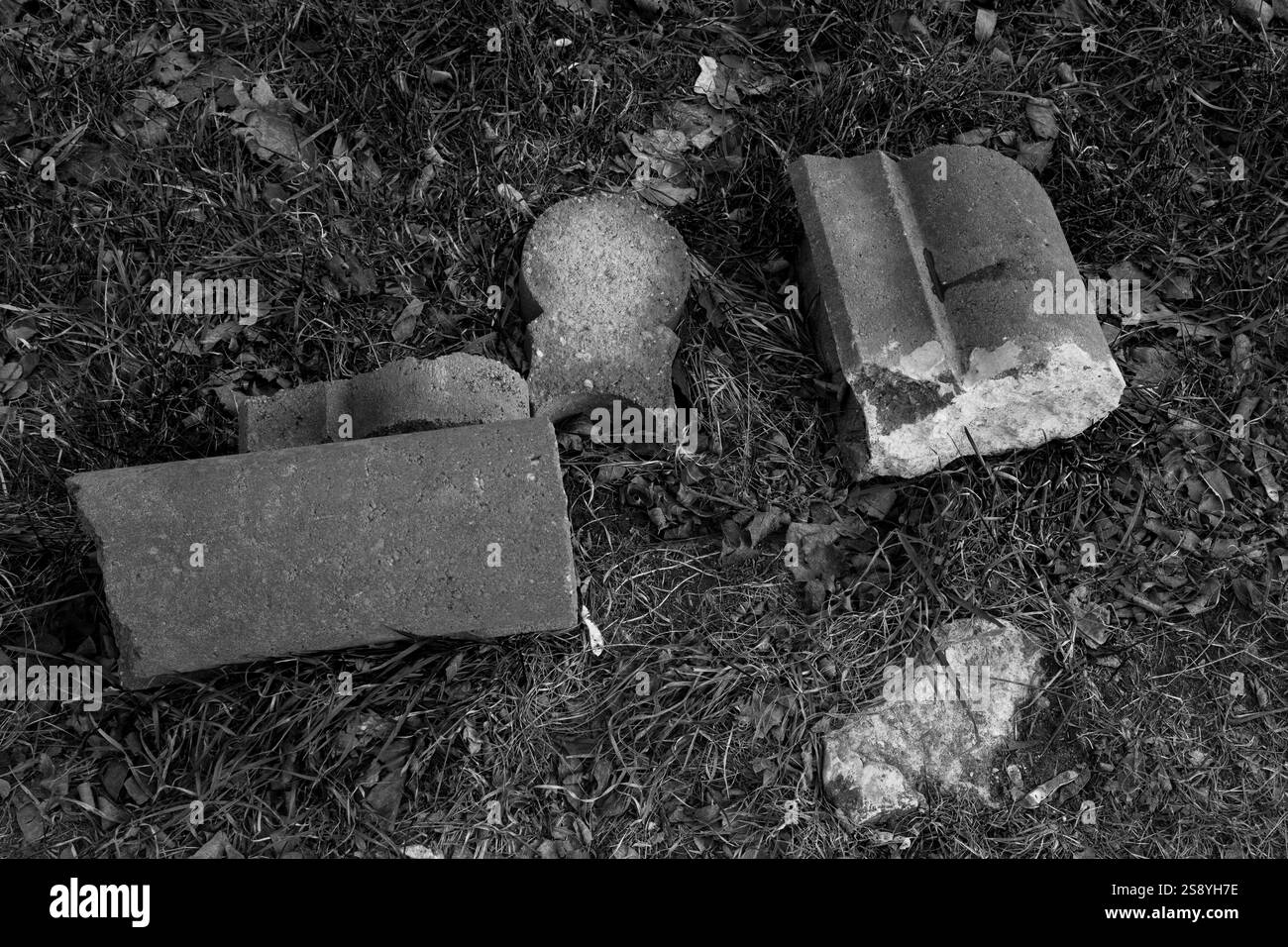 Broken bricks scattered on the ground in a natural setting during the ...