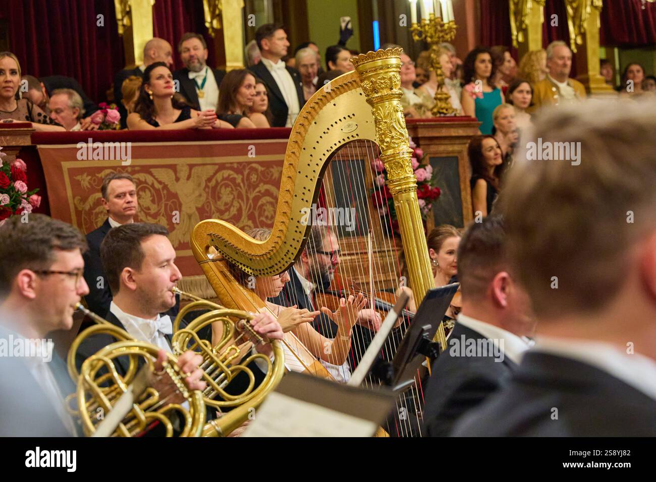 82nd Vienna Philharmonic Ball 2025 at Musikverein in Vienna, Austria ...
