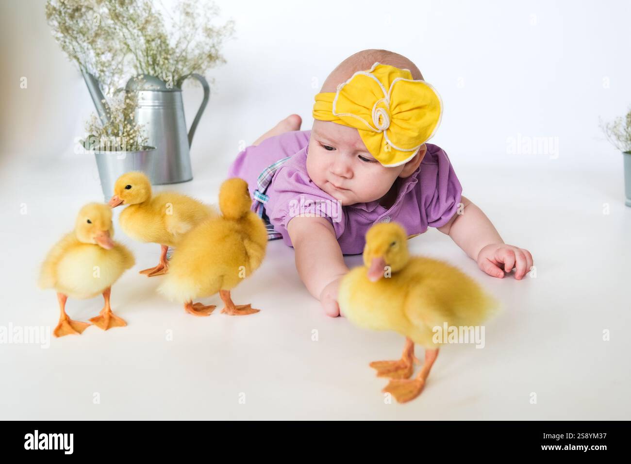 Cute child with little newborn chicks, enjoying, cute kid and animal ...