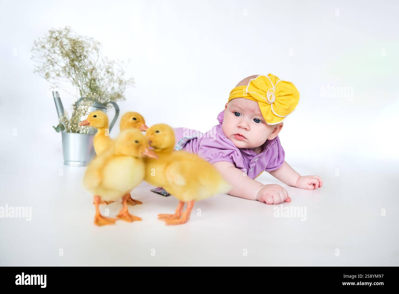 Cute child with little newborn chicks, enjoying, cute kid and animal ...