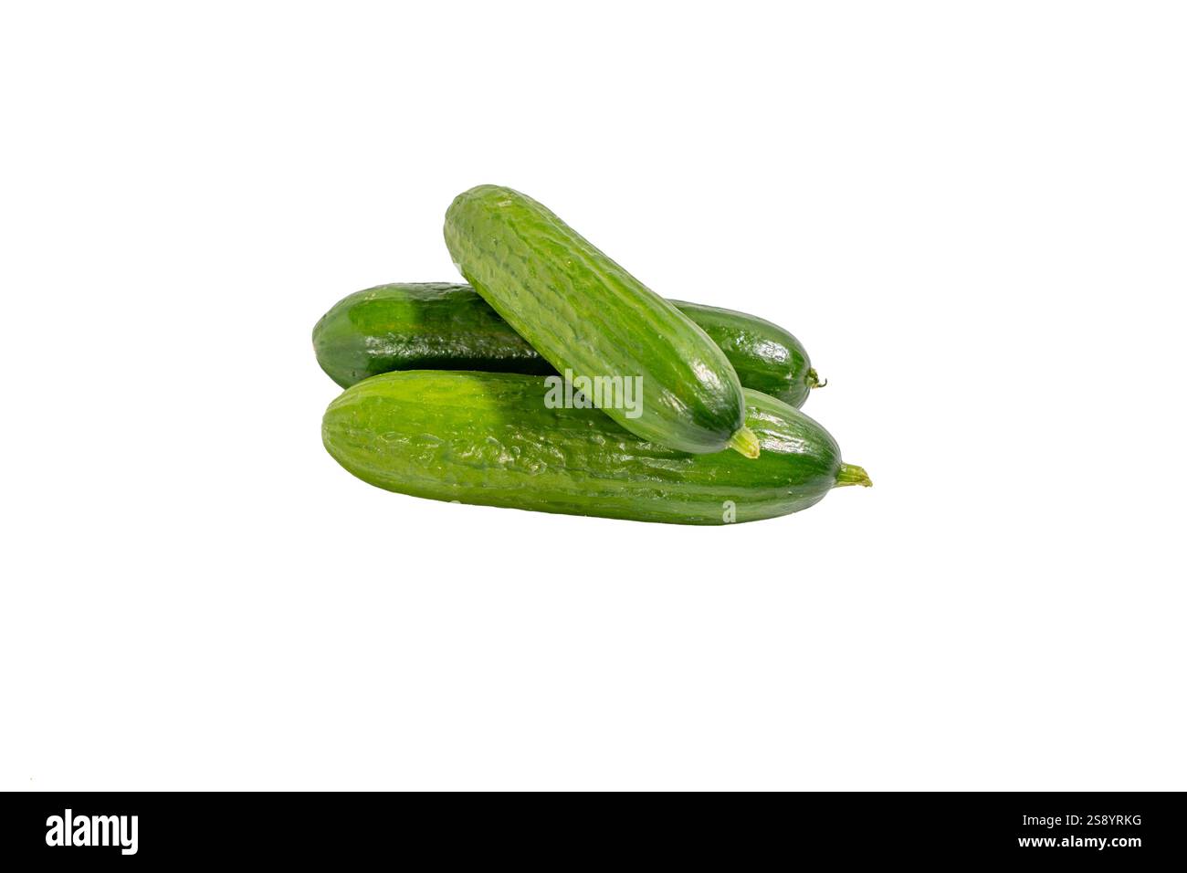 Three cucumbers sit on a white background. They are all green and have ...