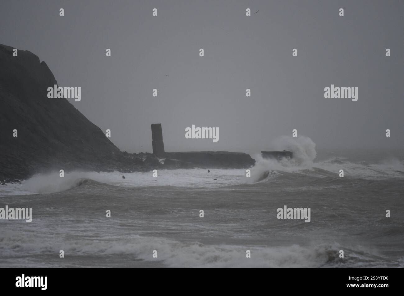 Image ©Licensed to Parsons Media. 24/01/2025. Folkestone, United ...