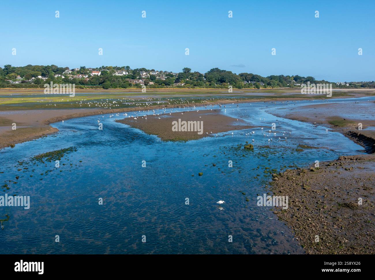 The beautiful landscape of Hayle estuary in Hayle, Cornwall, England ...