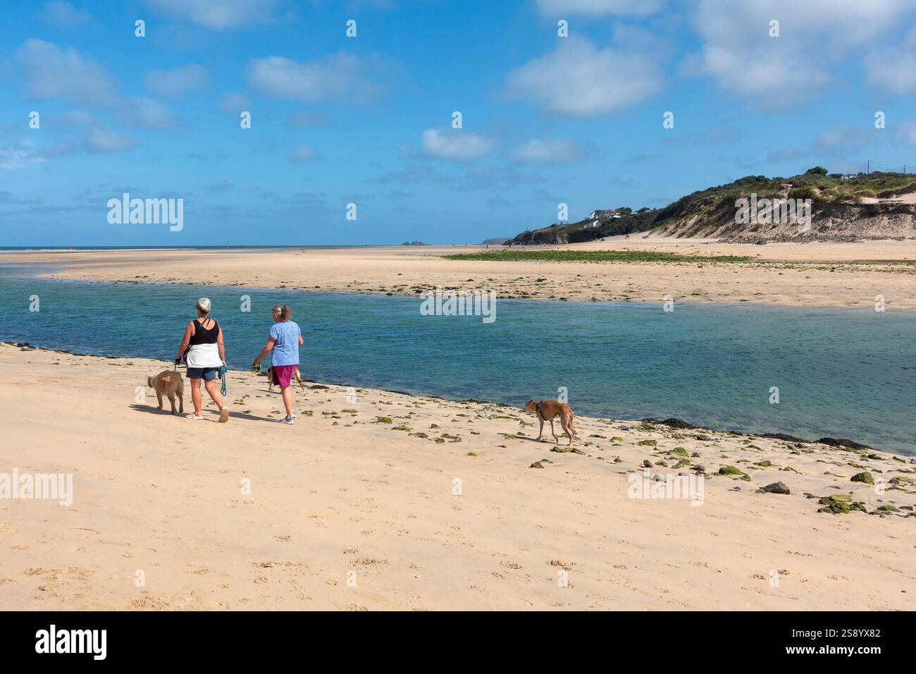 Dog walkers enjoy a sunny day at Hayle Beach along the estuary and sand ...