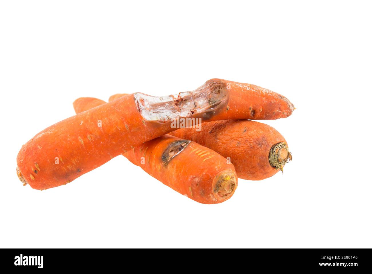 Rotten carrot isolated on white background Stock Photo - Alamy