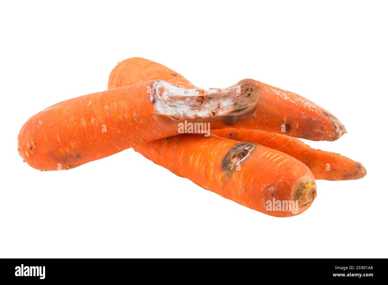 Rotten carrot isolated on white background Stock Photo - Alamy