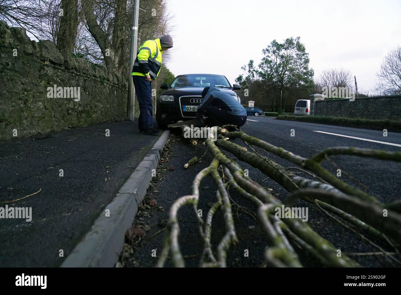Two men attend to a fallen tree on malahide road in dublin. residents ...