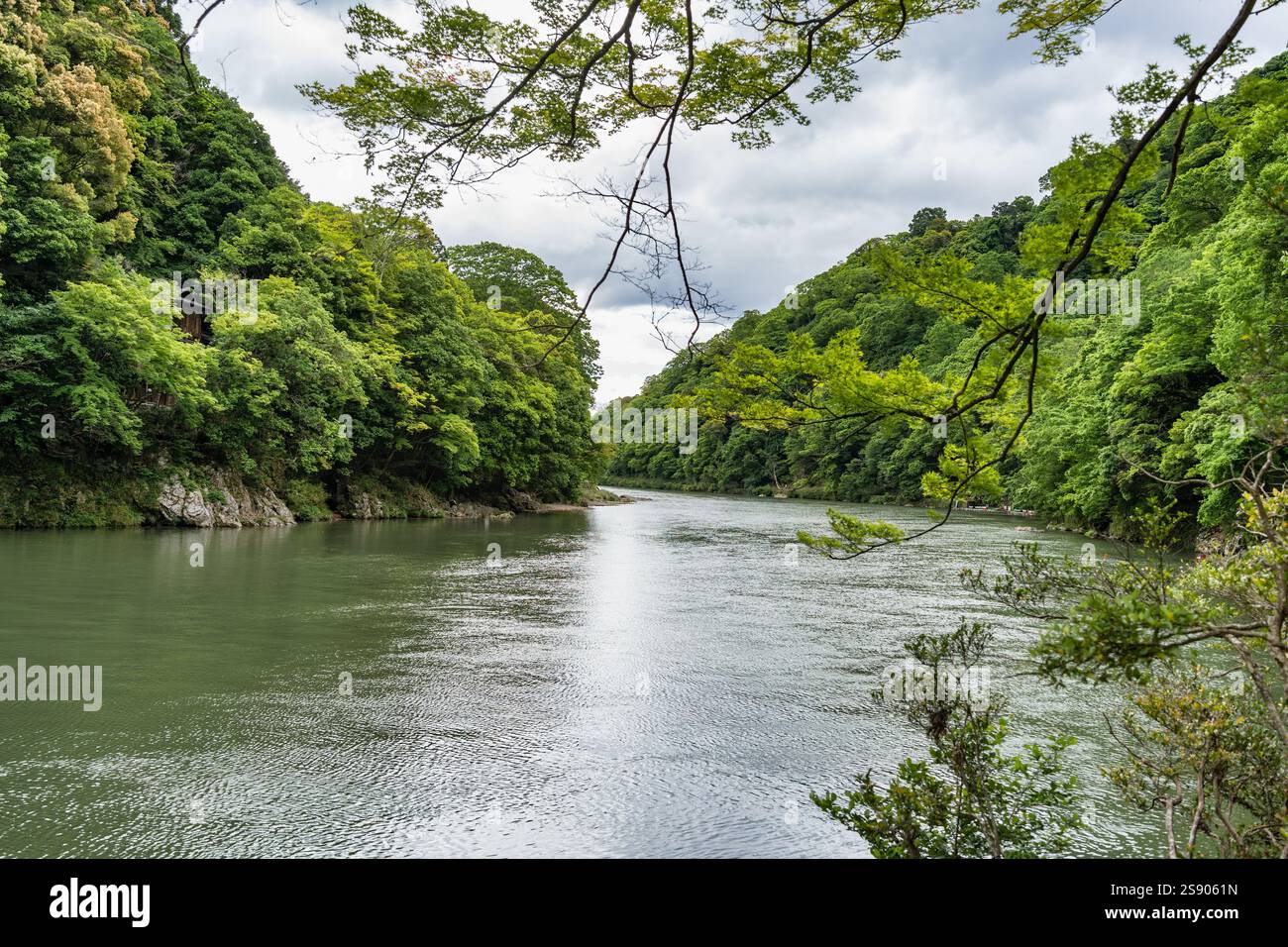 Green lush foliage landscape in Arashiyama district of Kyoto, Japan ...