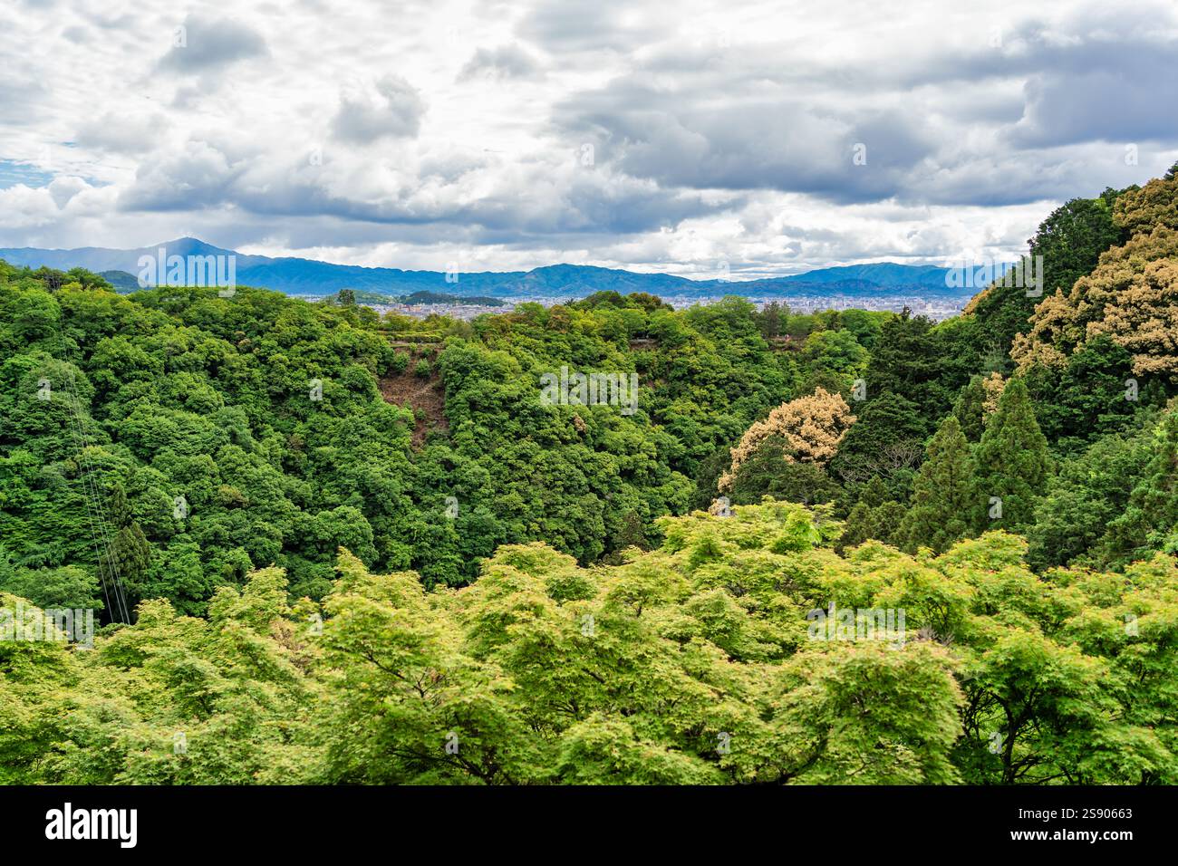 Green lush foliage landscape in Arashiyama district with Kyoto, Japan ...